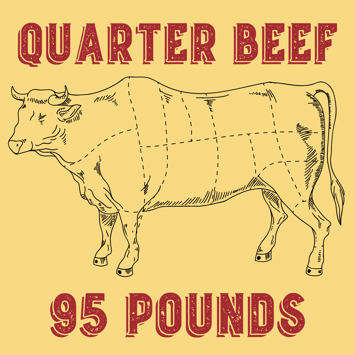 Pasture Raised Quarter Beef Share Delivered to Your Door – Midwest ...