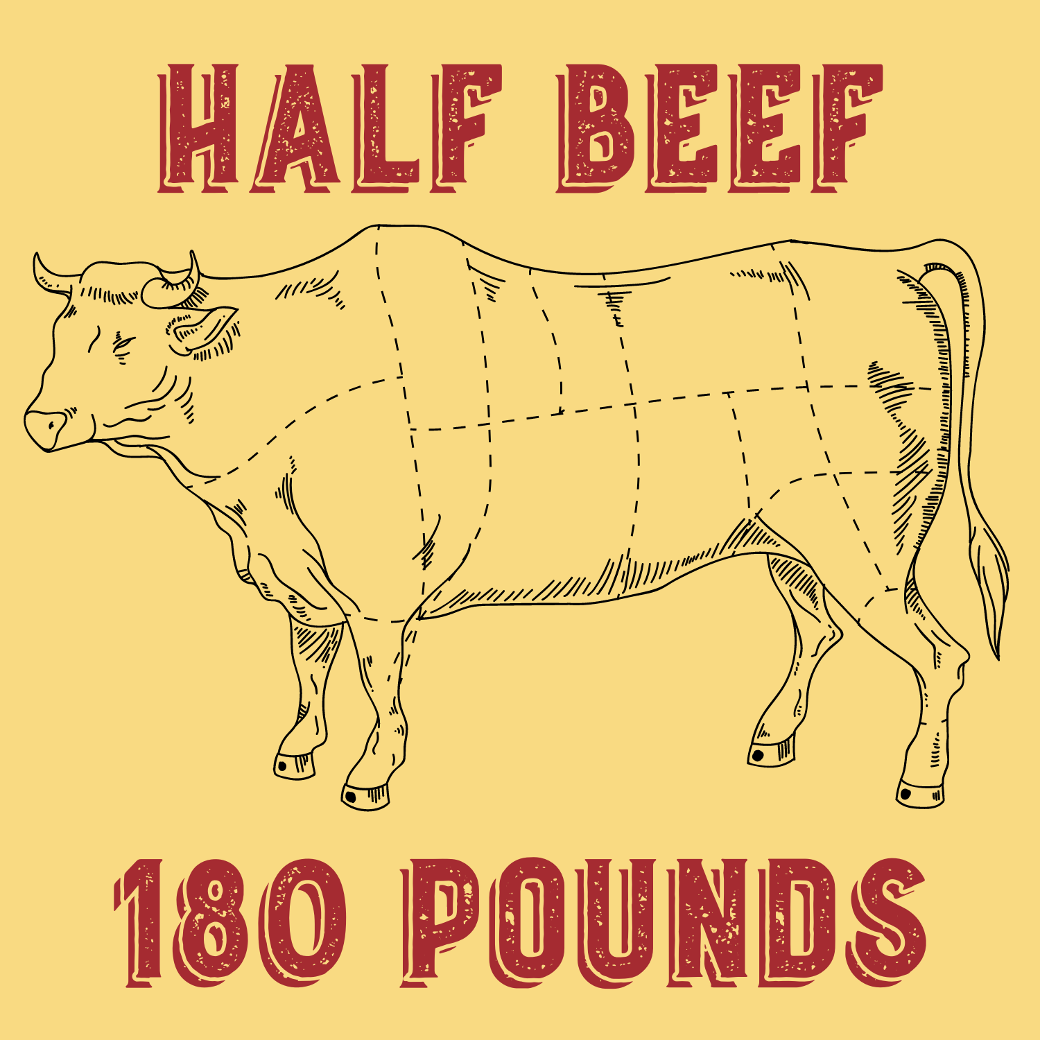 Half Beef Package | Best Half Cow Meat Price – Midwest Prime Farms